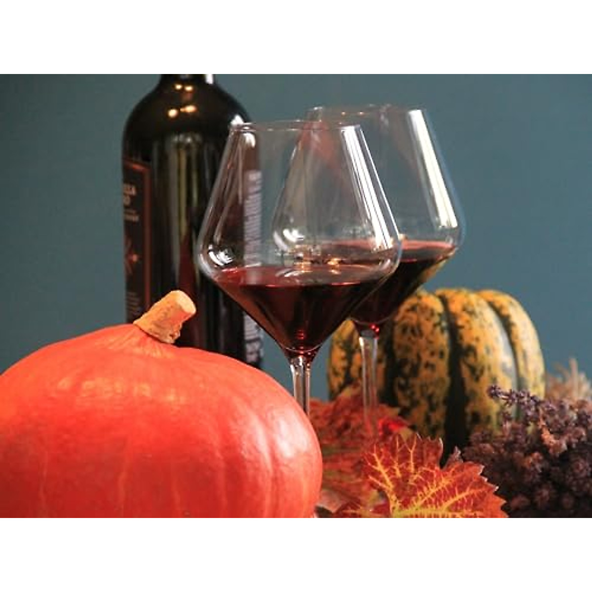 Stolzle Revolution Burgundy Wine Glasses, 19 oz (Set of 6)