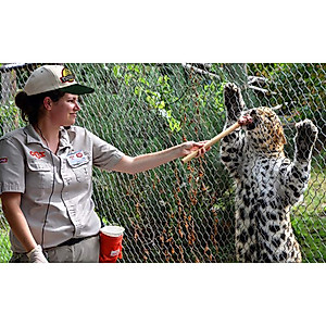 PopCrew Tiger King Hat - Exotic Zoo Animal Park Ranger Safari Baseball Cap - Funny Joke Gag Gift Cap for Men Women (One Size)