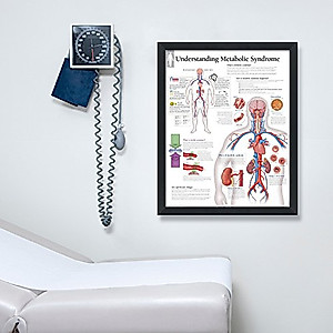 Understanding Metabolic Syndrome Framed Medical Educational Informational Poster Diagram Doctors Office School Classroom 22x28 Inches