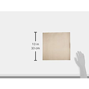 Homey 10-Pack Flexible Reusable and Resizable Non Stick Teflon Food Dehydrator Sheets, 14x14-Inches