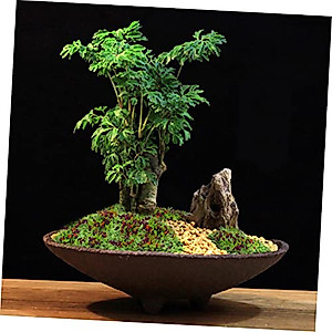 HANABASS 2 Boxes Tufts Scenery Tabletop Building Modelling Diorama Flower H Miniature Irregular Gaming for Cluster Hobby Static Train Railroad Adhesive Sand Bushy Layout Groups Grass of