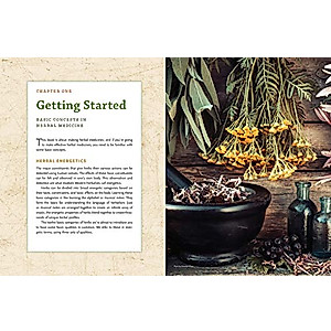 The Modern Herbal Dispensatory: A Medicine-Making Guide