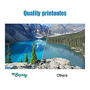 Sepeey T273XL Remanufactured Ink Cartridge Replacement for Epson 273XL 273 XL to use with Expression XP-620 XP-820 XP-800 XP-610 XP-810 XP-520 Printer (Black, Cyan, Magenta, Yellow, Photo Black)