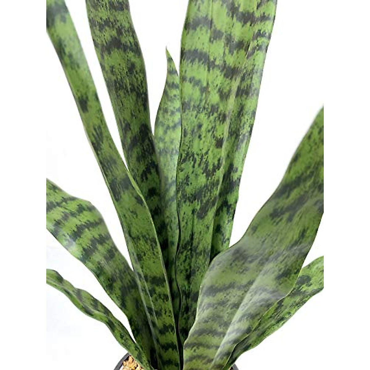 Bird Fiy Artificial Snake Plant 22" Faux Agave Fake Sansevieria Artificial Potted Plants for Indoor and Outdoor Home Office Décor (White Pot)