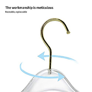 Nisorpa Clear Acrylic Hangers, 20 Pack Clear Non-Slip Hangers with Golden Chrome Steel Hook, Clothes Hangers Space Saving Hanger for Dresses Suit Jacket Sweater Blouse