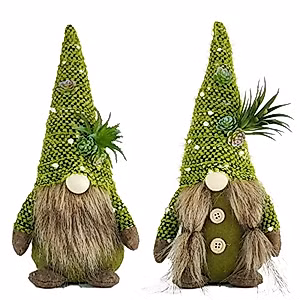 Mailin 2Pcs Succulent Gnomes Plush Green Gnomes Decorations for Home Tiered Tray Decor Farmhouse Decor Tomte Scandinavian Gnomes Dolls Gift for Plant Lover