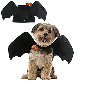 DIYASY Cat Halloween Bat Wing Costume,Halloween Small Pets Black Bat Costume Decoration for Puppy Dog and Cat with Bells