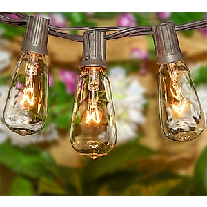 10 Pack Edison Light Bulbs, ST40 Clear Glass Light Bulb Replacement, 7W E17 Screw Base Light Bulbs for Outdoor String Lights Patio Backyard Decor, Warm White