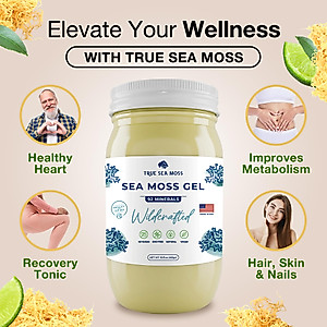 TrueSeaMoss Wildcrafted Irish Sea Moss Gel - Made with Dried Seaweed - Seamoss, Vegan-Friendly, - Antioxidant Supports Thyroid & Digestion - Made in USA (Original, Pack of 1)