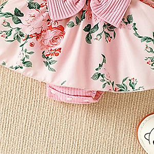 Mubineo Baby Girl Summer Clothes Outfits Sleeveless Lace Floral Romper Dress Newborn Outfit (Pink, 3-6 Months)