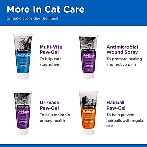 Nutri-Vet Anti-Diarrhea Liquid for Cats - Detoxifying Agent Works Against Bacterial Toxins - Helps Sooth Upset Stomach and Stop Diarrhea - 4 oz