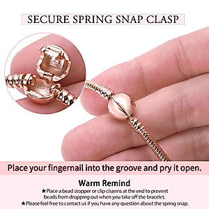 MICOO 925 Sterling Silver Snake Chain Butterfly Charms Bracelet, Evil Eye Bracelet with 5A Cubic Zirconia Bracelets for Women Birthday Gifts