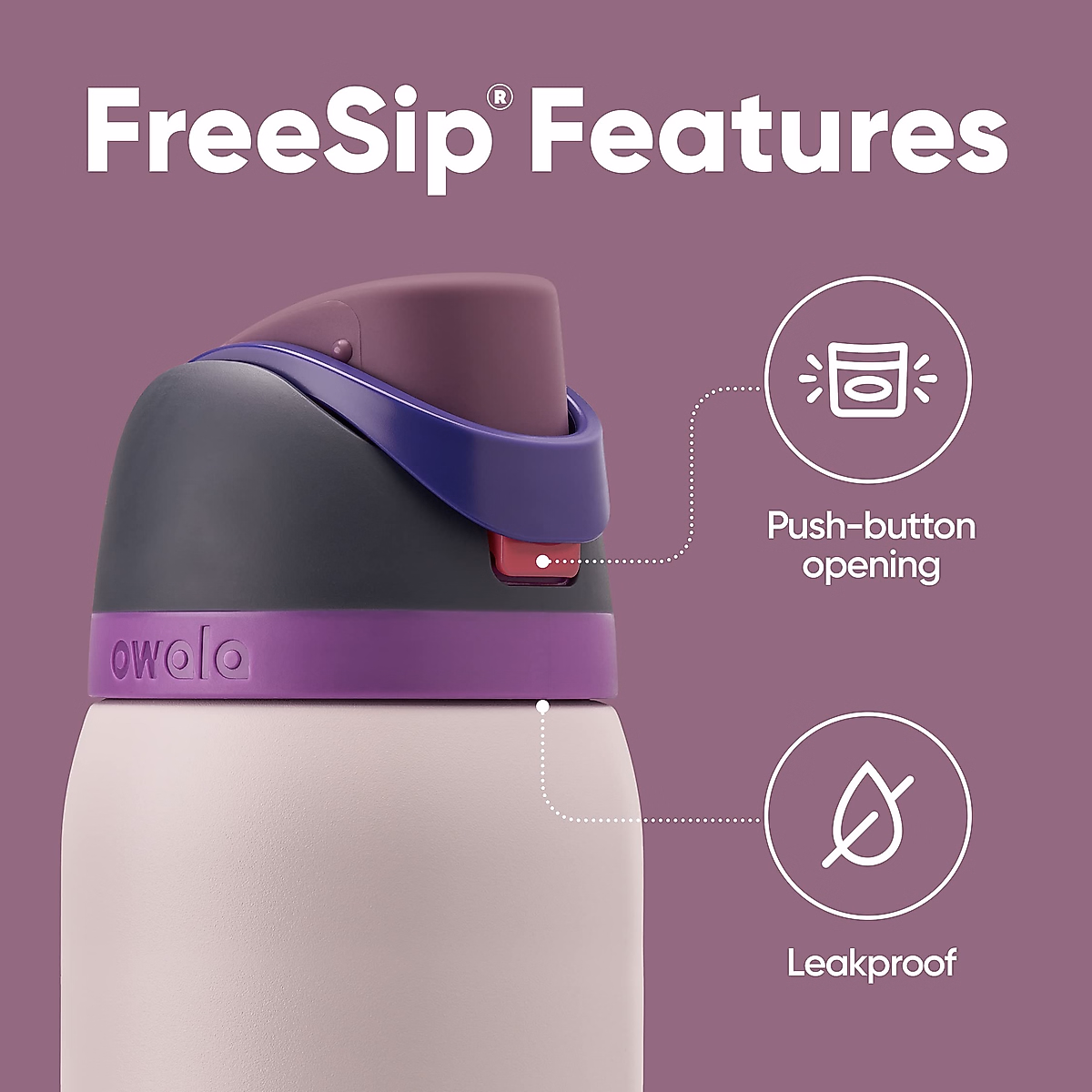 Owala FreeSip Insulated Stainless Steel Water Bottle with Straw for Sports, Travel, and School BPA-Free Sports Water Bottle, 24 oz, Dreamy Field