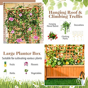 S AFSTAR Planter with Trellis Set of 2, 35.5x17.5x72.5-inch Wood Planter Box with Lattice Trellis & Hanging Roof, Removable Base, Trellis Planter Box for Climbing Plant Flower Rose Grape Cucumber