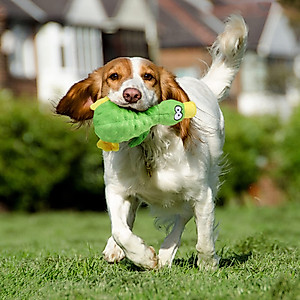 Alphatool Squeaky Dog Toys, Duck Dog Toys for Aggressive Chewer, Tough Plush Dog Toys for Large Dogs, Crinkle Interactive Puppy Dog Toys for Small Medium Dogs (3pcs)