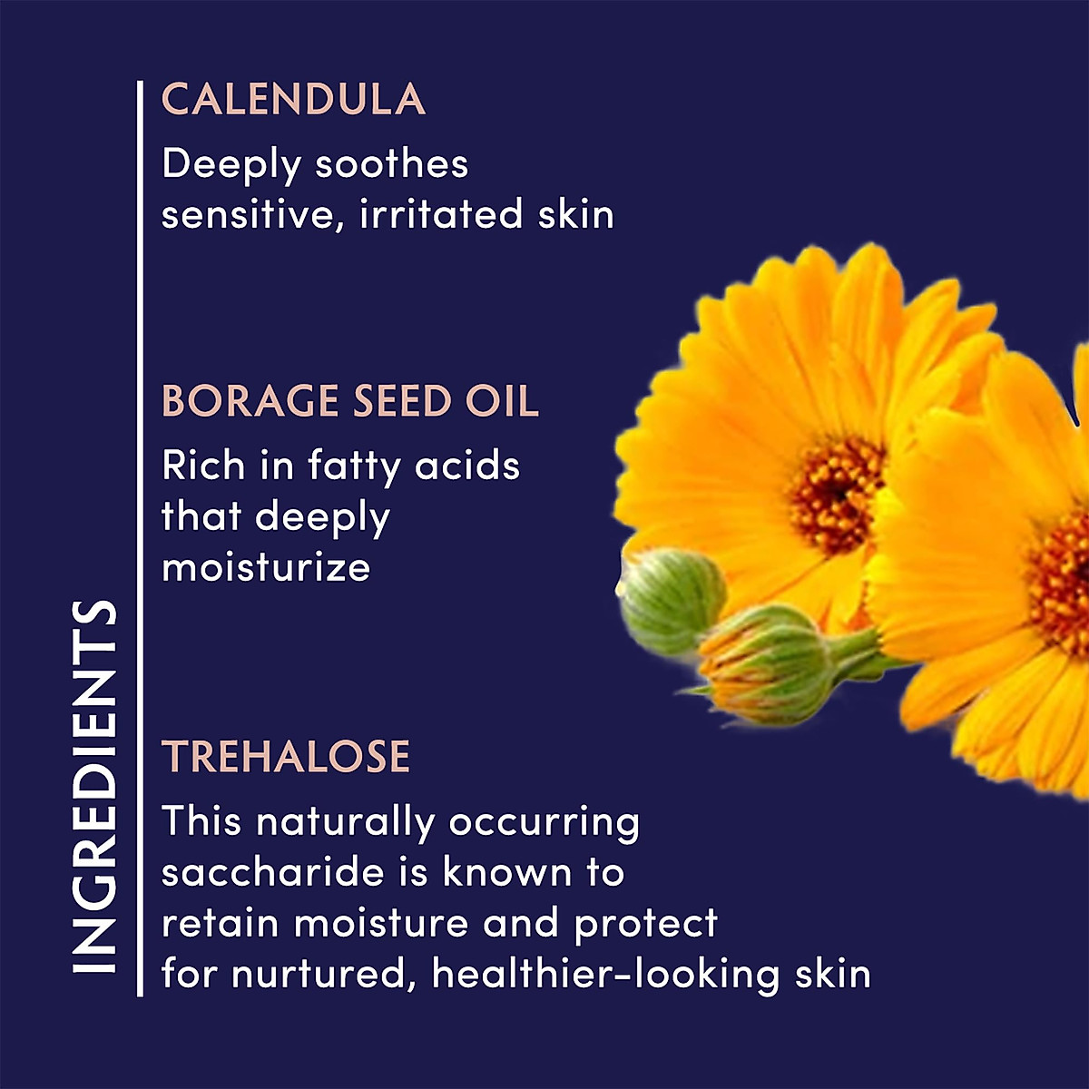 Naturopathica Calendula Essential Hydrating Cream, Soothing Face Moisturizer for Dry and Sensitive Skin, Daily Nourishing Face Cream for Men and Women, 1.69 fl oz