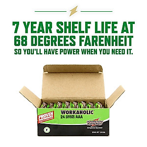 Interstate Batteries AAA Alkaline Battery (24 Pack) All-Purpose 1.5V High Performance Batteries - Workaholic (DRY0075)