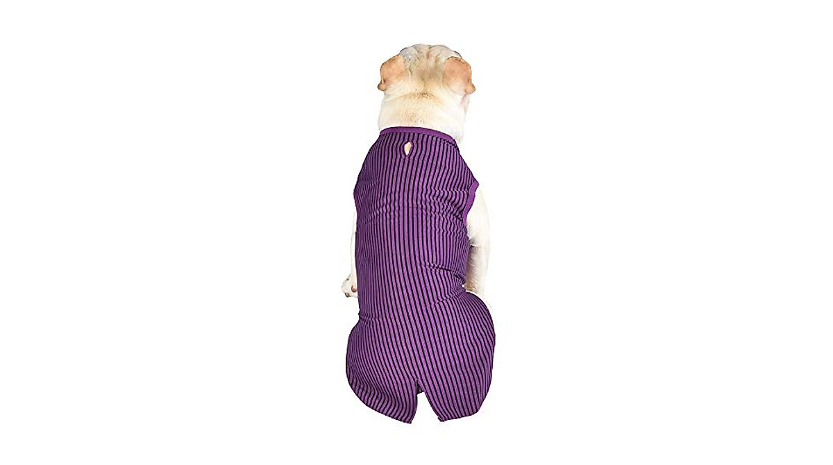 DC Comics Joker Dog Costume XS | Fun Halloween & Party Pet Costume