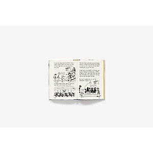 Big Shot Diary of a Wimpy Kid Book 16