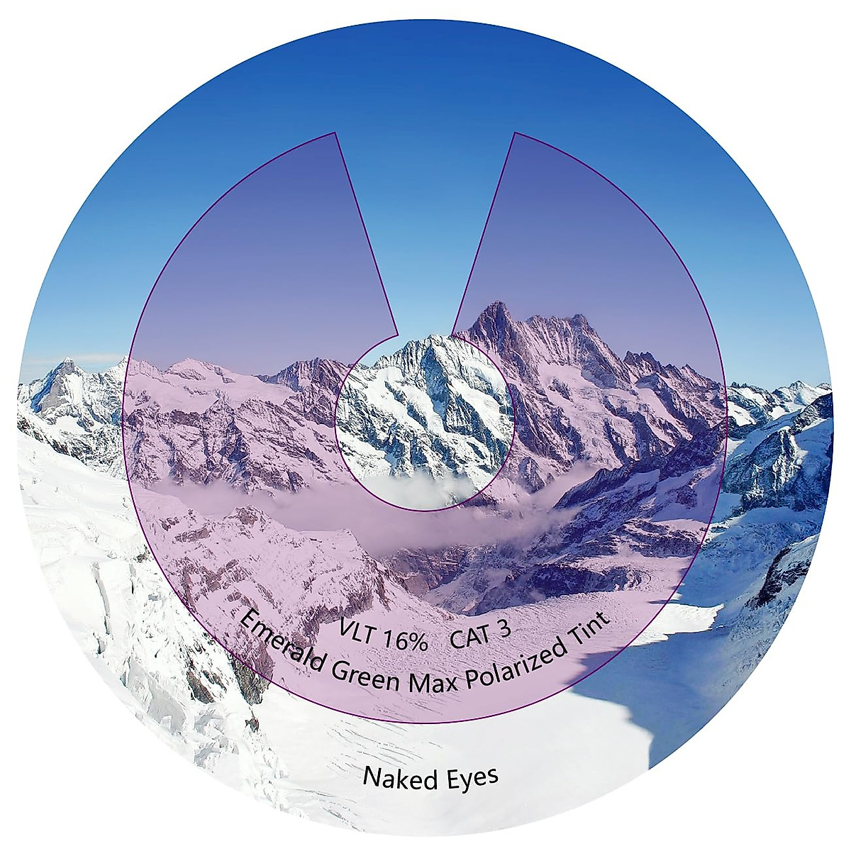 Tintart Performance Replacement Lenses Compatible with Oakley Holbrook XL OO9417 Polarized Etched-Emerald Green