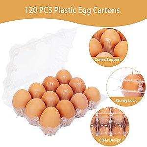 GRRONZEE 120Pack Egg Cartons Cheap Bulk One Dozen Clear Empty Egg Cartons for Chicken Eggs, Reusable Egg Carton for Home Ranch Chicken Farm, Commercial Business Market Display, 3x4 Grids