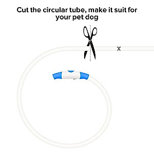 iTayga LED Dog Collar USB Rechargeable Light Up Dog Collar Adjustable TPU Pet Collars for Large Medium and Small Dogs (Blue)