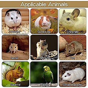 BNOSDM Wooden Hamster Cage Platform Set Wood Chinchilla Ledges and Platforms Rectangle L-Shaped Round Cage Accessories with Cooling Standing Board&Food Cup for Mouse Squirrel Gerbil Guinea Pig