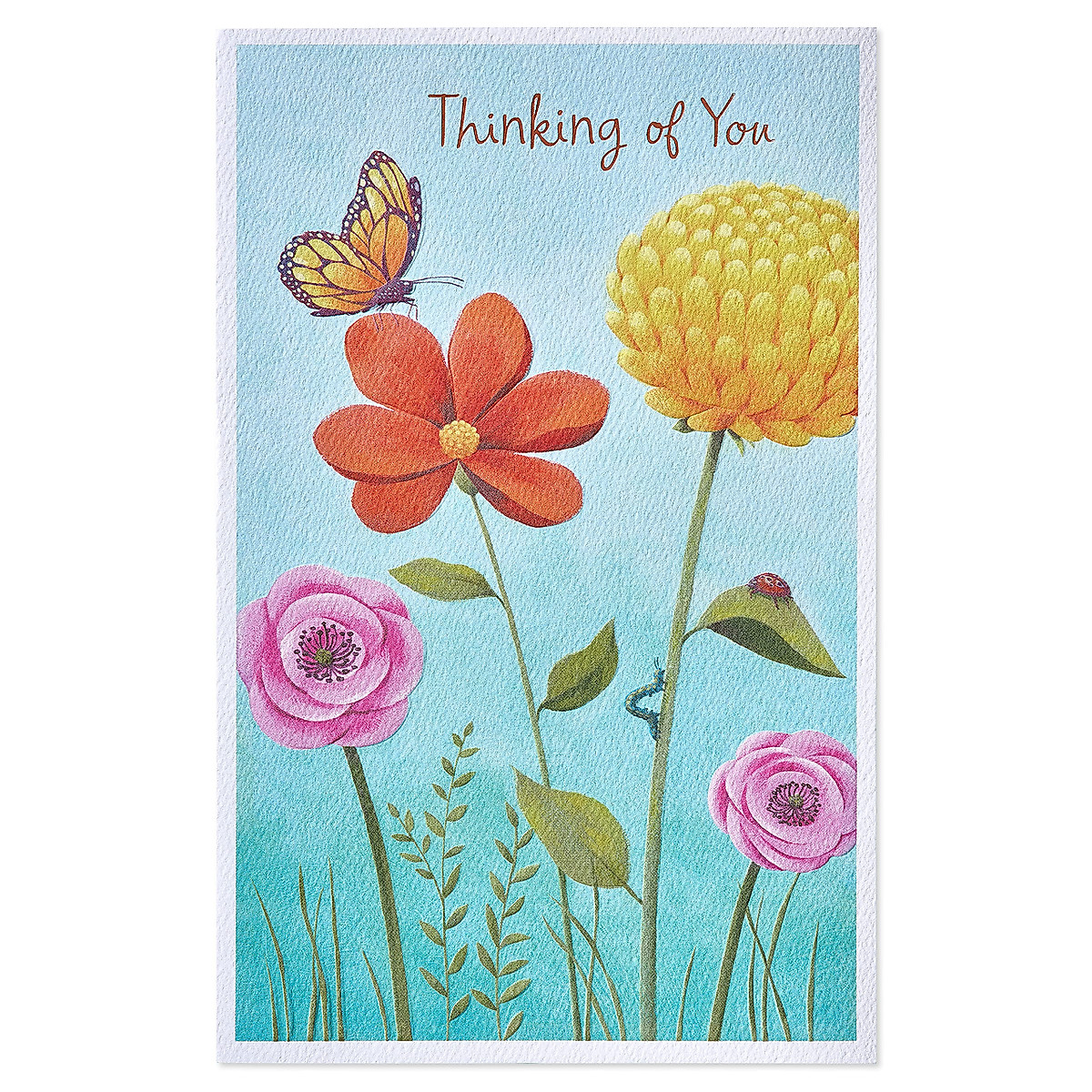 American Greetings Thinking of You Card (Brighten Up Your Day)