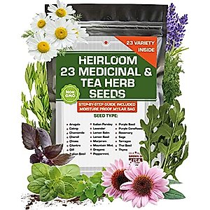 Most Popular Heirloom Non GMO Tea and Herb Seeds for Planting Indoor and Outdoor Garden
