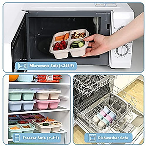 ozazuco 4 Pack Snack Containers, Divided Bento Snack Box, 4 Compartments Reusable Meal Prep Lunch Containers for Kids Adults, Food Storage Containers for School Work Travel