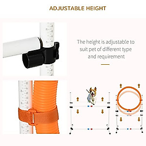PawHut Dog Agility Equipments, 5 Pieces Obstacle Courses Training Starter Kit, Pet Outdoor Games of Tunnel, Dog Jump, Hoop, Weave Poles, Pause Box and Easy Carry Case