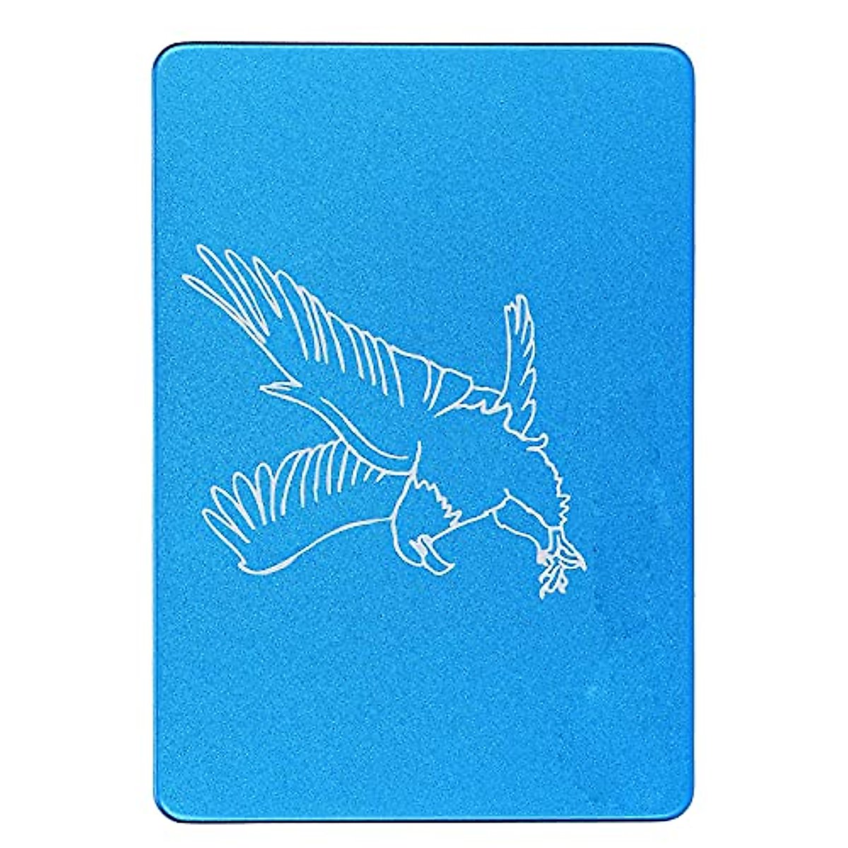 Garsentx Hsthe Sea SSD Automatic Recognition Intelligent Error Correction Blue Metal 2.5‑inch Hard Drive for Storing Data for OS X/Linux/Windows XP/Win/7/8/10 (8GB)