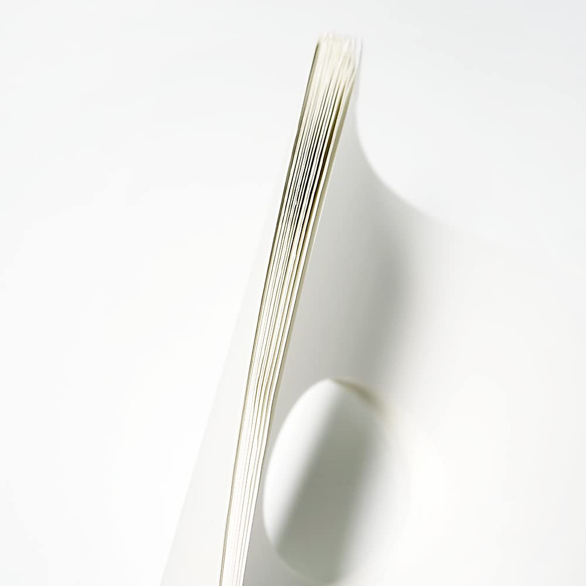 sdroceRyaM 20 Pack Vinyl Record Inner Paper Sleeves 12 Inches Anti-Static White Kraft Paper Premium Acid Free Protection Covers for 33 RPM Record Vinyl