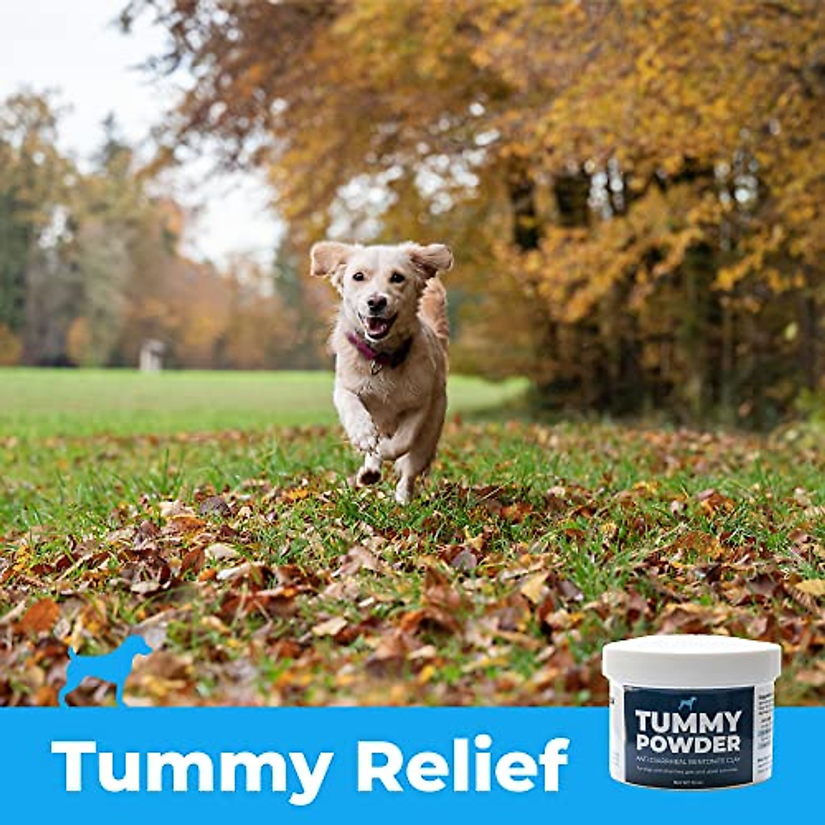 Tummy Powder for Dogs and Cats | Anti-Diarrheal Bentonite Clay Powder | Gas Relief | Stool Firmer | Detox | Anti-Diarrhea | Calcium and Other Minerals | Natural from The Earth | by Blue Dog Pet