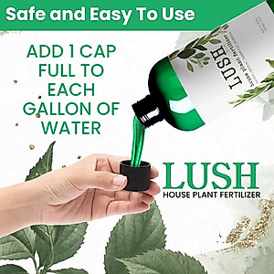 Lush Houseplant Fertilizer | 500ml Concentrated Liquid Fertilizer | Makes Over 50 Gallons | Made in The USA (500ml/16.9oz)
