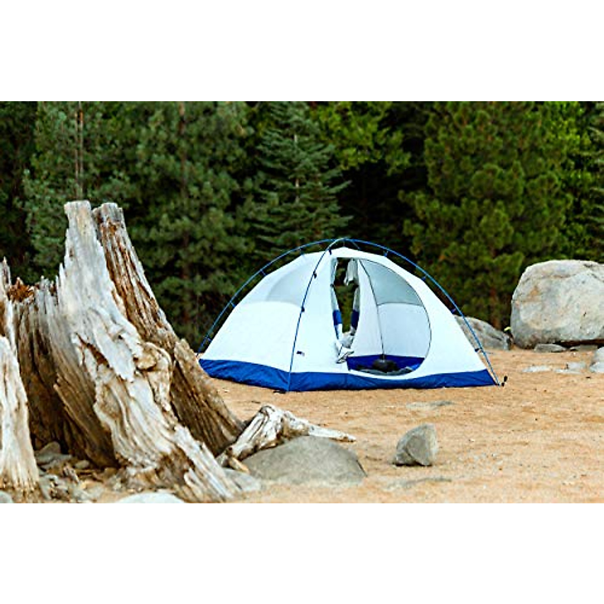 ALPS Mountaineering Lynx 4 Person Tent - Gray/Navy