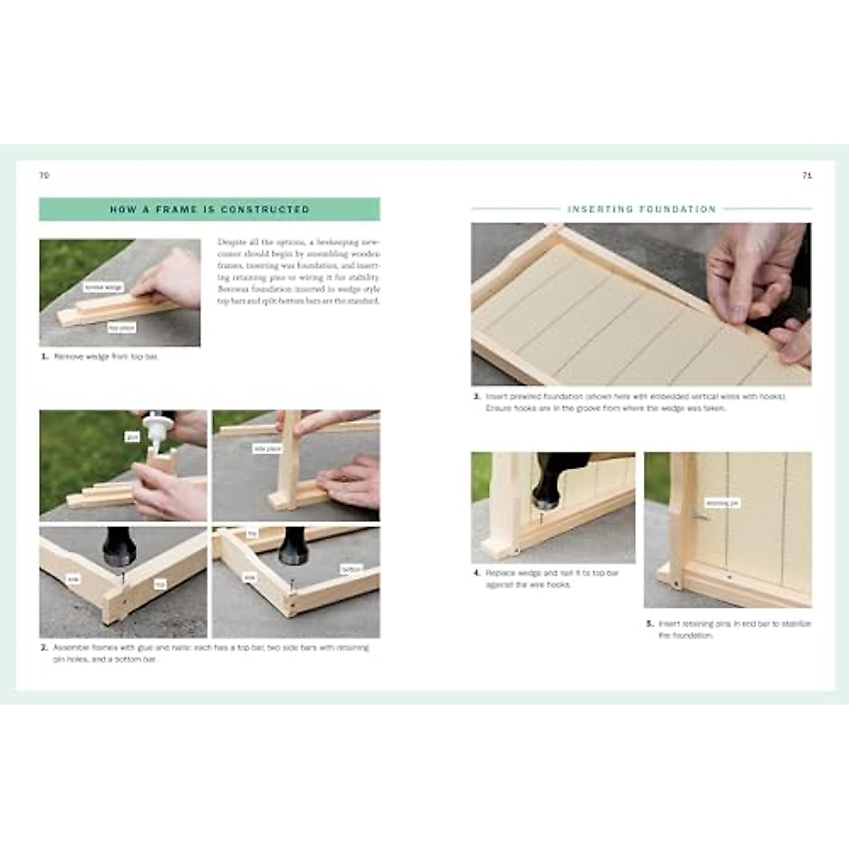 Storey's Guide to Keeping Honey Bees, 2nd Edition: Honey Production, Pollination, Health (Storey’s Guide to Raising)