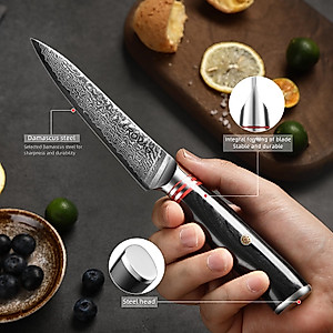 lrovag Utility Kitchen Knife，5 Inch Damascus Paring Knife, Super Sharp High Carbon Stainless Steel Fruit Knife，Multipurpose Chopping Knife, Japan VG10 Steel Core,Premium Gift Box
