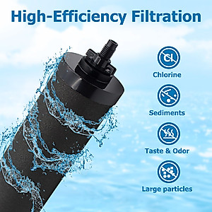 Larayci Water Filter Replacement for Berkey® BB9-2 Black Activated Carbon Filters, Compatible with Berkey® Gravity Water Filter System, Pack of 2