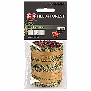 Kaytee Field+Forest Mini Hay Bales Rose 3.5 Ounces