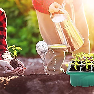 Cookmaster Seed Starter Tray, 6 Pack Seed Starter Kits with Grow Light, Seedling Trays with Humidity Domes, Indoor Gardening Plant Germination Trays, Covers Height 3.9", (12 Cells per Tray)