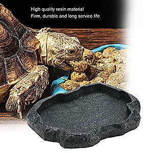 Reptile Feeder,Reptile Rock Food Dish,Terraium Bowl Plastic Shallow Reptile Feeder for Food and Water Feeding Dish for Lizard Gecko Bearded Dragon Chameleon(M-Moyu Green)
