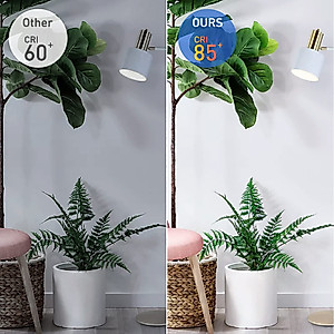 MorningLight 6 Pack A15 LED Bulbs 60W Equivalent, Non-Dimmable, Daylight 5000K, E26 Base, 6.5W 600 Lumens Bulb, A15 LED Light Bulbs for Ceiling Fan, Wall sconces, 25000+ Hours Lifespan