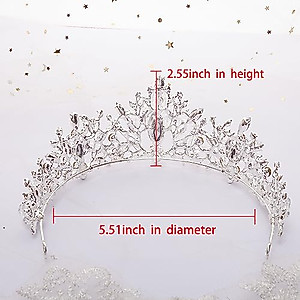 RUOKFZIYAN Silver Crown for Women and Birthday Tiara Crystal Queen Crowns Rhinestone Princess Tiaras for Girl Bride Wedding Hair Accessories for Bridal Party Prom Halloween Cos.play dress Christmas