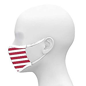 Alleson Athletic Unisex-Adult 3 Ply Sublimated Mask