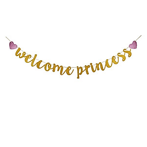 Welcome Princess Banner, Baby Shower Party Sign, Gender Reveal Party Bunting, Welcome Baby Girl Banner, Baby Girl's Birthday Party Decorations