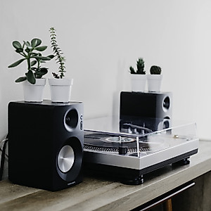 Crosley C100A-SI Belt-Drive Turntable Record Player with Adjustable Counterweight, Silver