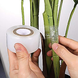 YARDWE Grafting Tape| 30mm Wide Clear Stretchable Nursery Grafting Films for Floristry Plants Repair, Bio- degradable Moisture Barrier Grafting Tools for Garden Trees Fruit Vegetable Flower