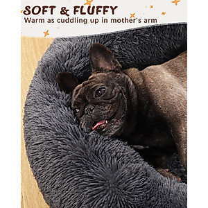 KSIIA Calming Dog Bed Anti-Anxiety Round Donut Dog Beds for Small Dogs Cat Beds for Indoor Cats Fluffy Comfort Small Dog Bed with Ultra-Soft Plush Washable Dog Bed with Non-Skid Bottom, 23", Gray