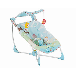 Fisher-Price Soothe & Go Bouncy Seat